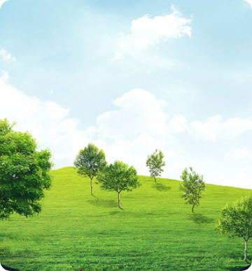 RevolutionPlus | Real Estate